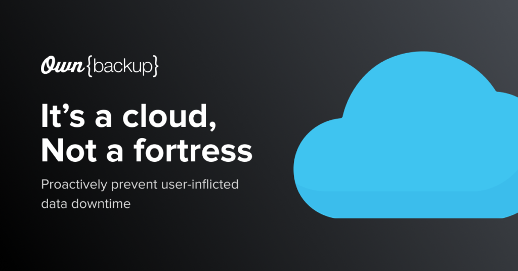OwnBackup scores $50m to grow SaaS backup tools – Blocks and Files
