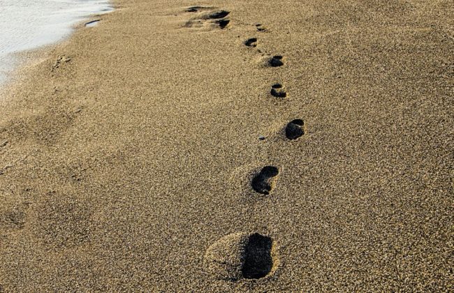 MinIO tilts at AWS with object storage subscription service – Blocks ...