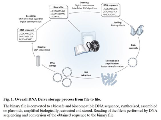 Biomemory describes DNA storage tech it hopes will replace tape