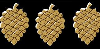 Pinecone Archives – Blocks and Files