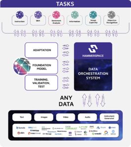 Hammerspace bags $56.7m in first funding round