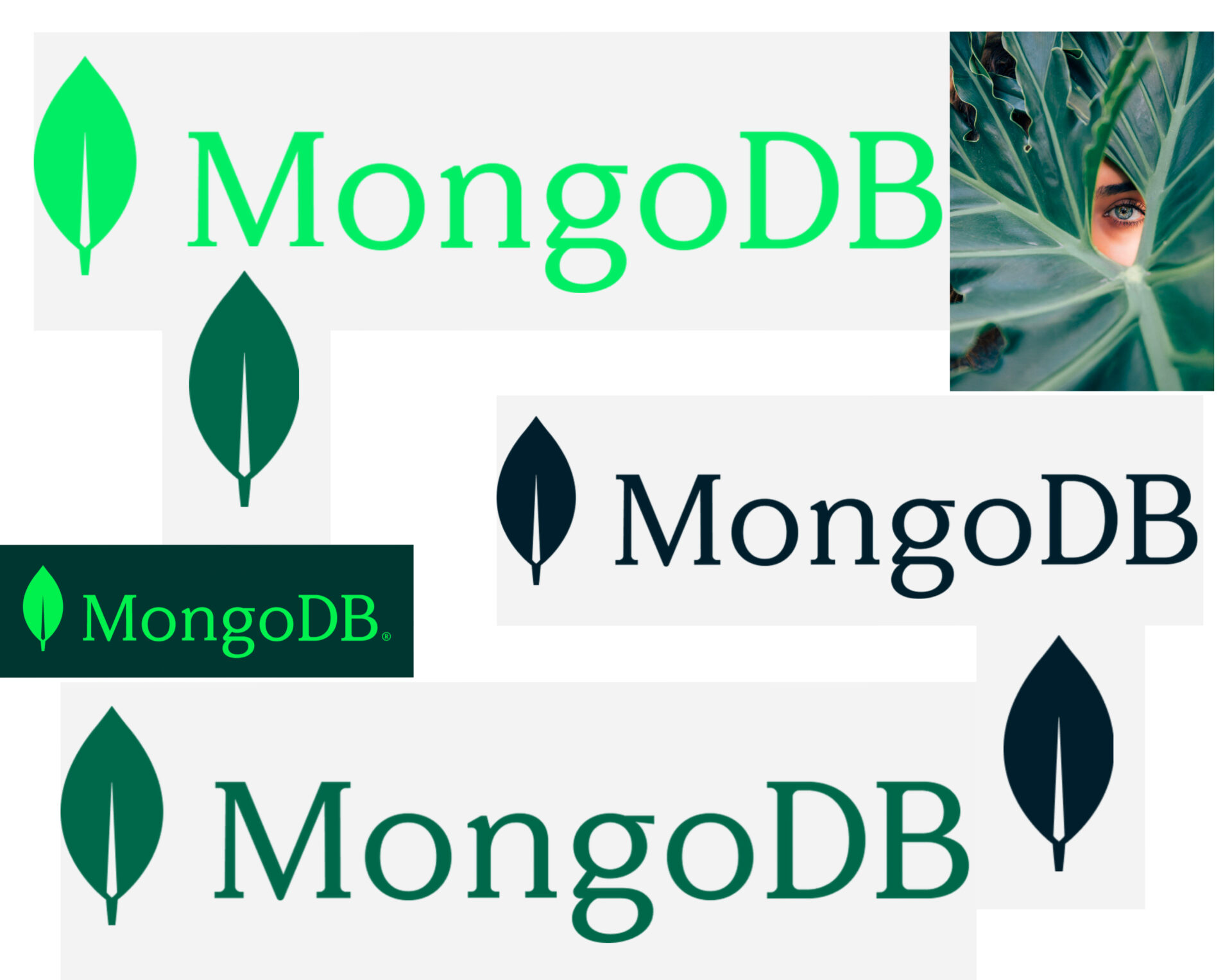MongoDB says it's winning with targeted commercial AI projects – Blocks and Files