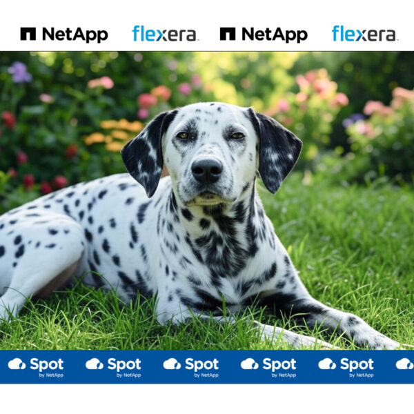NetApp offloads Spot, Cloudcheckr to Flexera – Blocks and Files NetApp offloads Spot, Cloudcheckr to Flexera – Blocks and Files