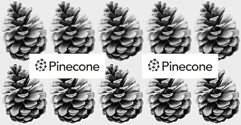 Pinecone rolls out dedicated read nodes to boost vector search performance